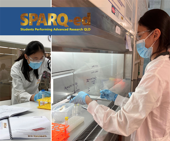 SPARQ-ed Research Immersion Program